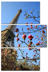 Obraz na plátně - Eiffelova věž v jarním období - obdélník 734C (90x60 cm)