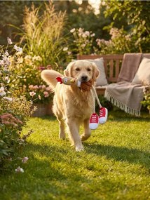 Sinsay - Hračka pro psa s pískátkem ve tvaru slepice v teniskách - vícebarevná