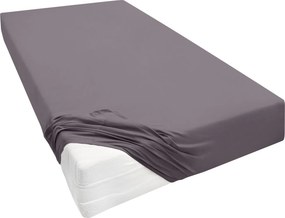 Biberna Napínací prostěradlo Jersey-Elasthan, výška rohu 25 - 35 cm. (tmavě šedá, 180–200 x 200–220 cm)