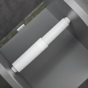 kleankin Koupelnová skříňka s držením toaletního papíru, s dvířky a nastavitelnými policemi 20 x 80 cm šedá