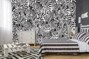 Fototapeta - Zebra (152,5x104 cm)