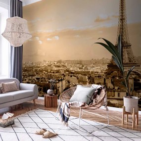 Fototapeta Panorama Paříže - Eiffelova věž v sepii na pozadí městské architektury