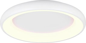 XXXLutz STROPNÍ LED SVÍTIDLO, 62/10 cm Trio Leuchten - Stropní svítidla - 004102113902