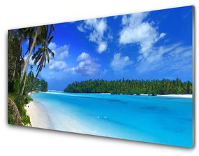 Obraz na skle Pláž Palmy Moře Krajina 100x50 cm