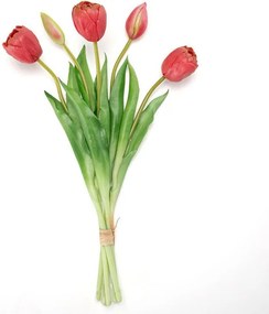 Svazek tulipány plnokvěté 39 cm, 5 ks