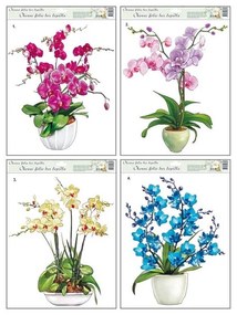 Statické okenní folie Orchideje