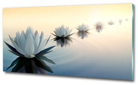 Wallmuralia Moderní foto obraz na stěnu Květiny lotosu 100x50