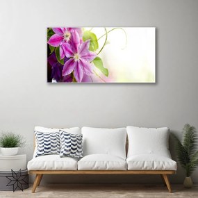 Plexisklo-obraz Květiny Příroda 100x50 cm
