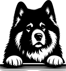 Samolepka pes Akita Inu