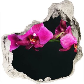 Wallmuralia Samolepící díra nálepka Orchidej 75x75 cm