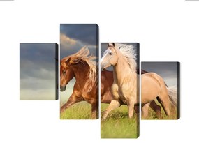 Vícedílný obraz Koně Cválající Na 3D Louce Nedostatek Nedostatek Přírodní plátno 80x50