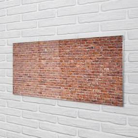 akrylový obraz Cihlové zdi wall 100x50 cm