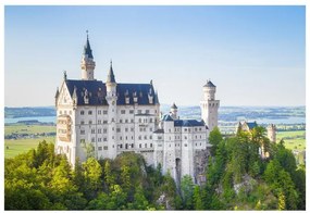 Fototapeta Neuschwanstein 104x70