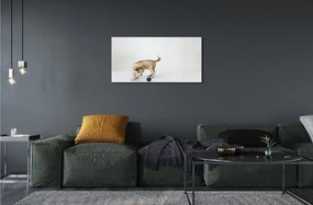 Obraz na skle Hrát s tím psem 140x70 cm