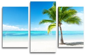 Sablio Obraz - 3-dílný Palma na pláži - 75x50 cm
