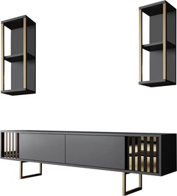 Televizní stolek s policemi Linie Anthracite and Gold