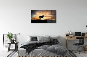 Obraz na skle Unicorn sunset 100x50 cm
