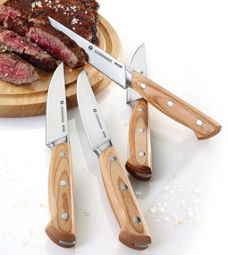 Zassenhaus Sada nožů na steaky 4 ks 23 cm