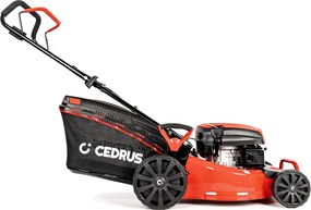 Hahn & Sohn Cedrus Benzínová sekačka Cedrus KS48 HP13079