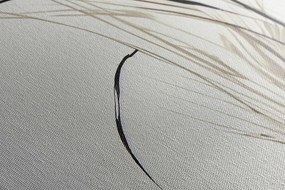 Obraz minimalistická suchá tráva Varianta: 80x120