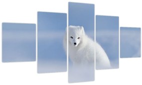 Obraz - Polární liška (125x70 cm)