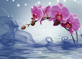 Malvis ® Tapeta Orchidej na vodě Vel. (šířka x výška): 288 x 200 cm