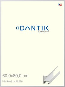 DANTIK rámeček 60x80 | ALU profil 6220 Bílá matná (Plexi Čiré)