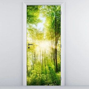 Fototapeta na dveře - Svítání v lese (95x205cm)