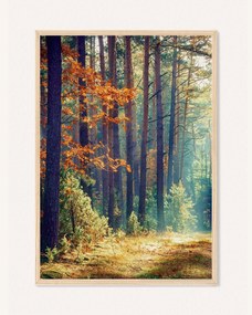 Oboustranný plakát Tichá Chatka / Podzimní Les | 30 x 42 cm | DP351313
