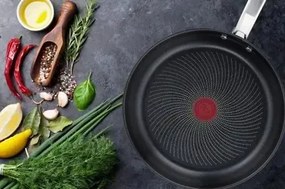 Tefal Intuition B8170644 pánev 28cm