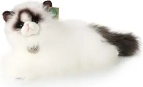 RAPPA Plyšová kočka ragdoll 38 cm / ECO-FRIENDLY / od 0 měsíců