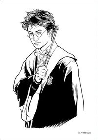 JIRI MODELS Omalovánky s tetováním Harry Potter / 100+ tetovaček / Seš