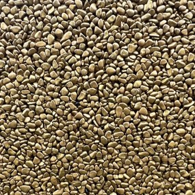 Báča Beton Kamenný koberec na stěnu Gold Frakce: Hrubá (4 – 8 mm), vydatnost setu 2,6 m², Doporučené použití v: exteriéru - polyuretanové pojivo