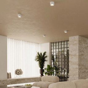 Sollux Lighting Stropní svítidlo MODO 2 bílé GX53