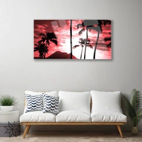 akrylový obraz Hora Palmy Stromy Příroda 100x50 cm