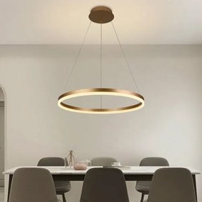 Brilagi - LED Stmívatelný lustr na lanku CIRCLE LED/42W/230V 3000-6500K + DO