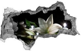 Wallmuralia Samolepící díra nálepka Bílá lilie 95x73 cm