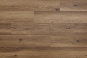 Minerální podlaha Dub Dallas - titanium nano layer, uv vrstva, synchrostructure - reálný povrch dřeva - DWS 211