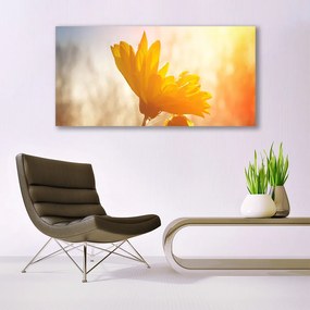 akrylový obraz Slunečnice 120x60 cm
