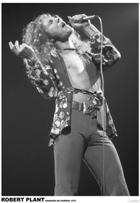 Plakát, Obraz - Led Zeppelin - Robert Plant March 1975 (colour)