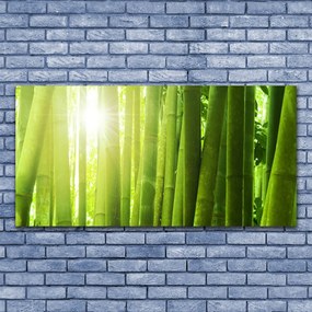 akrylový obraz Bambus Rostlina 120x60 cm