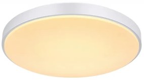 Globo 41586-24 - LED Stmívatelné stropní svítidlo SONNY LED/24W/230V + DO