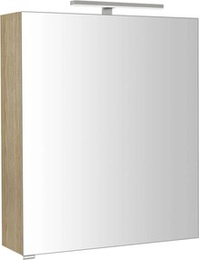 Sapho Riwa - Zrcadlová skříňka s LED osvětlením 60x70x17 cm, jilm bardini RIW060-0013
