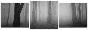 Obraz na plátně - Mlha v lese - panoráma 5182QD (150x50 cm)