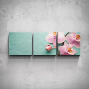 3-dílný obraz - Květ orchideje - PopyDesign