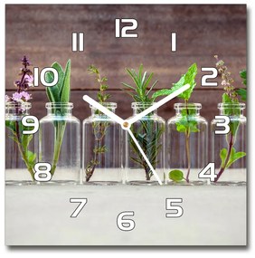 Wallmuralia Skleněné hodiny čtverec Rostliny ve sklenicích 30x30 cm