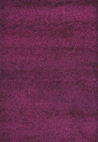 Medipa (Merinos), Kusový Koberec Shaggy Plus Purple 957, 160x230, fialová, ložnice