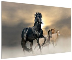 Obraz koně (120x80 cm)