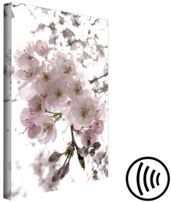 Obraz Třešňová příroda (1-dílný) - kvetoucí jemné okvětní plátky květu
