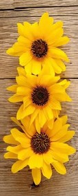 Tři slunečnice - 50 x 20 cm